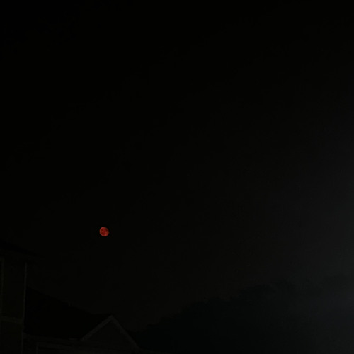 Stream I’ll make you mine - Vic x Vanni by Vic | Listen online for free ...