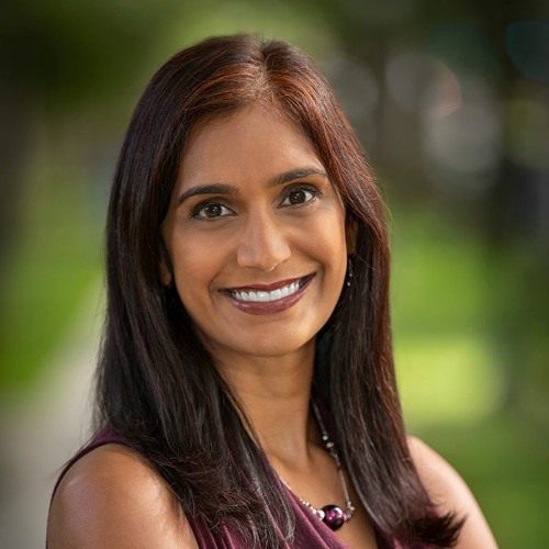 Stream Disinformation and its Effects on Democracy with CNN analyst and ...