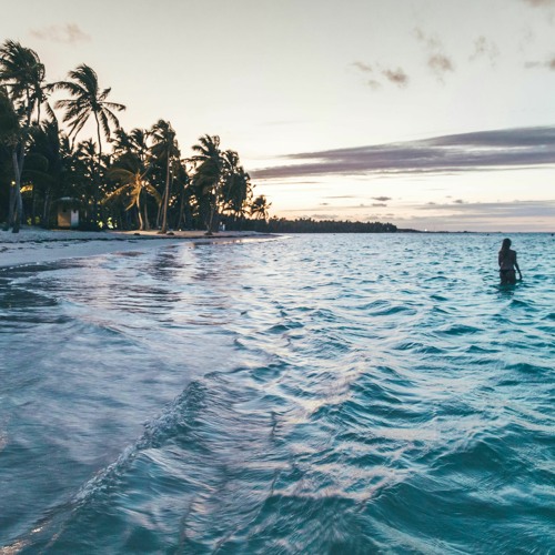 Stream Brian Bunker | Listen to Tropical Moods playlist online for free ...