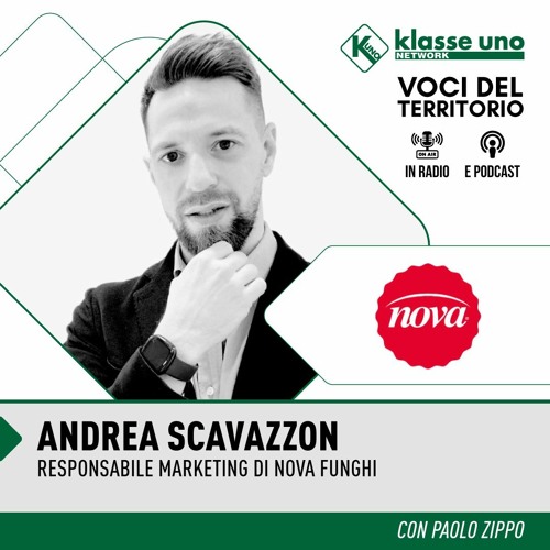 Stream Andrea Scavazzon - Nova Funghi by Klasse Uno Network | Listen online for free on SoundCloud