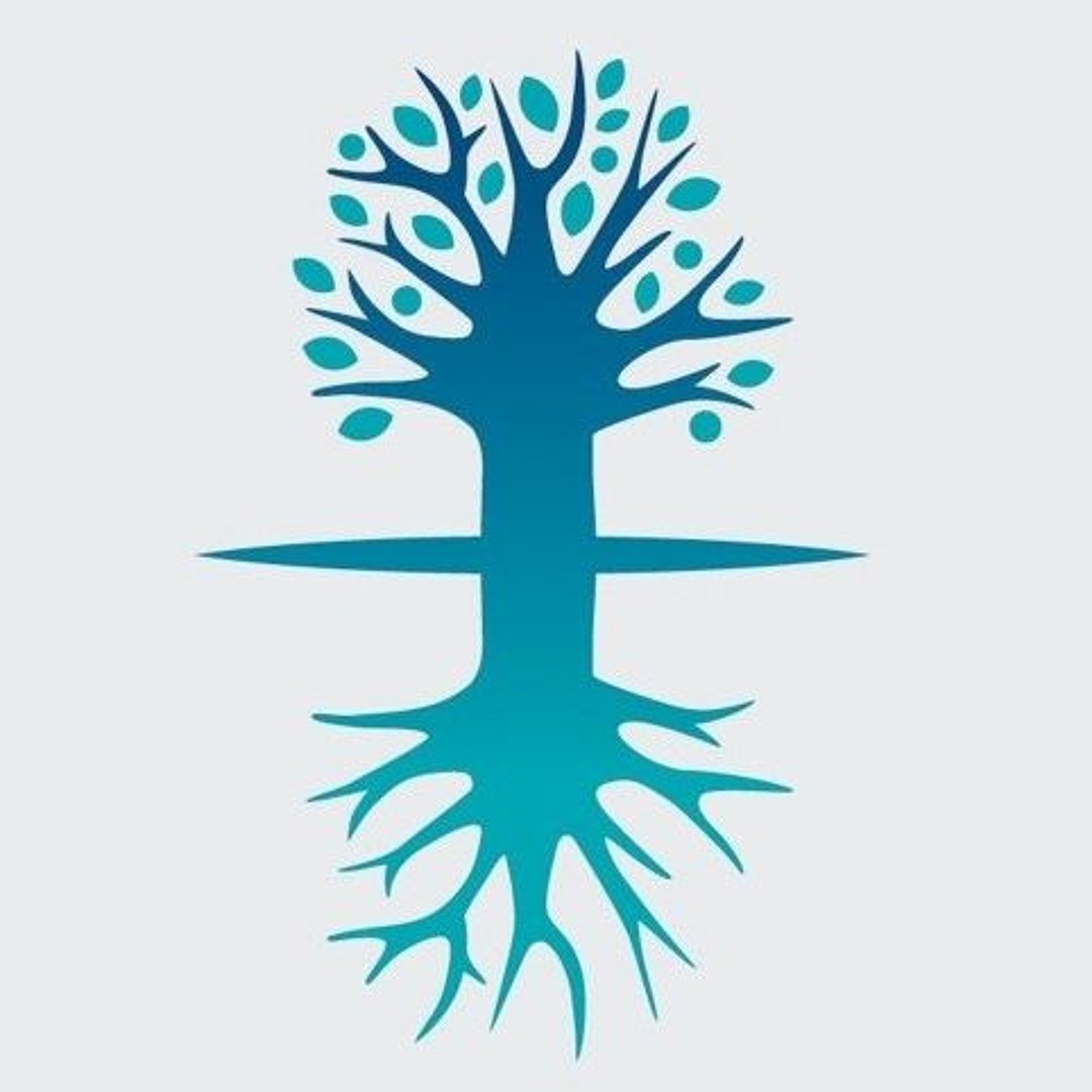 Stream You Light The Way - (Women Version) by sivan weissfeld | Listen ...