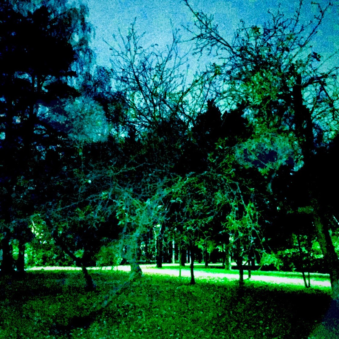 Stream ssnset by eliass | Listen online for free on SoundCloud