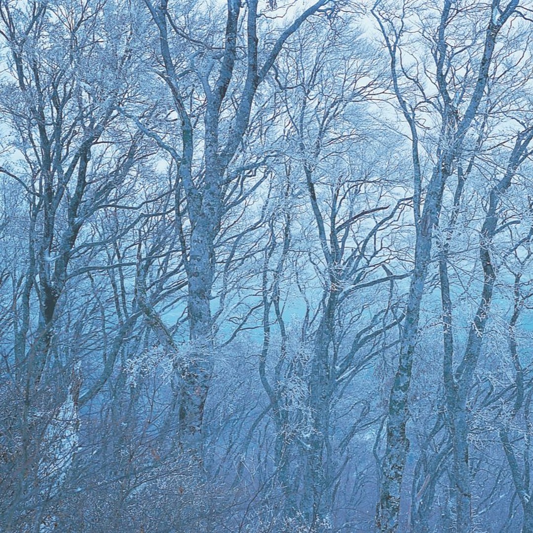 Stream @mic_micmicmic1 | Listen to Prod me playlist online for free on ...