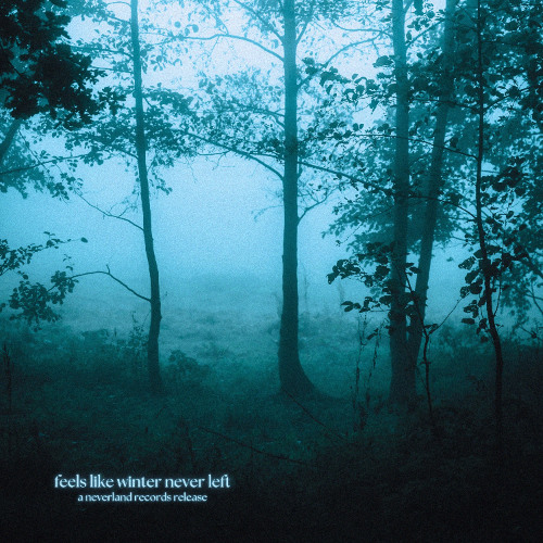 Stream feels like winter never left by neverland records | Listen ...