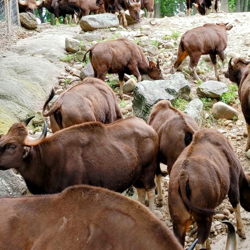 Stream SPRING 2024 TRAP EMO by dan73nyc | Listen online for free on ...