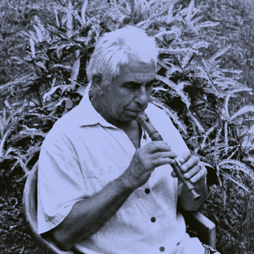 Stream Joint Calibrations by PEDRO PEDRO | Listen online for free on ...