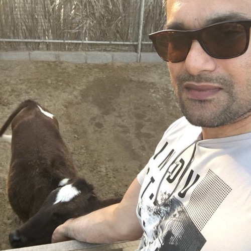 Stream Fairy tale sample - cow from Aadam M | Listen online for free on ...