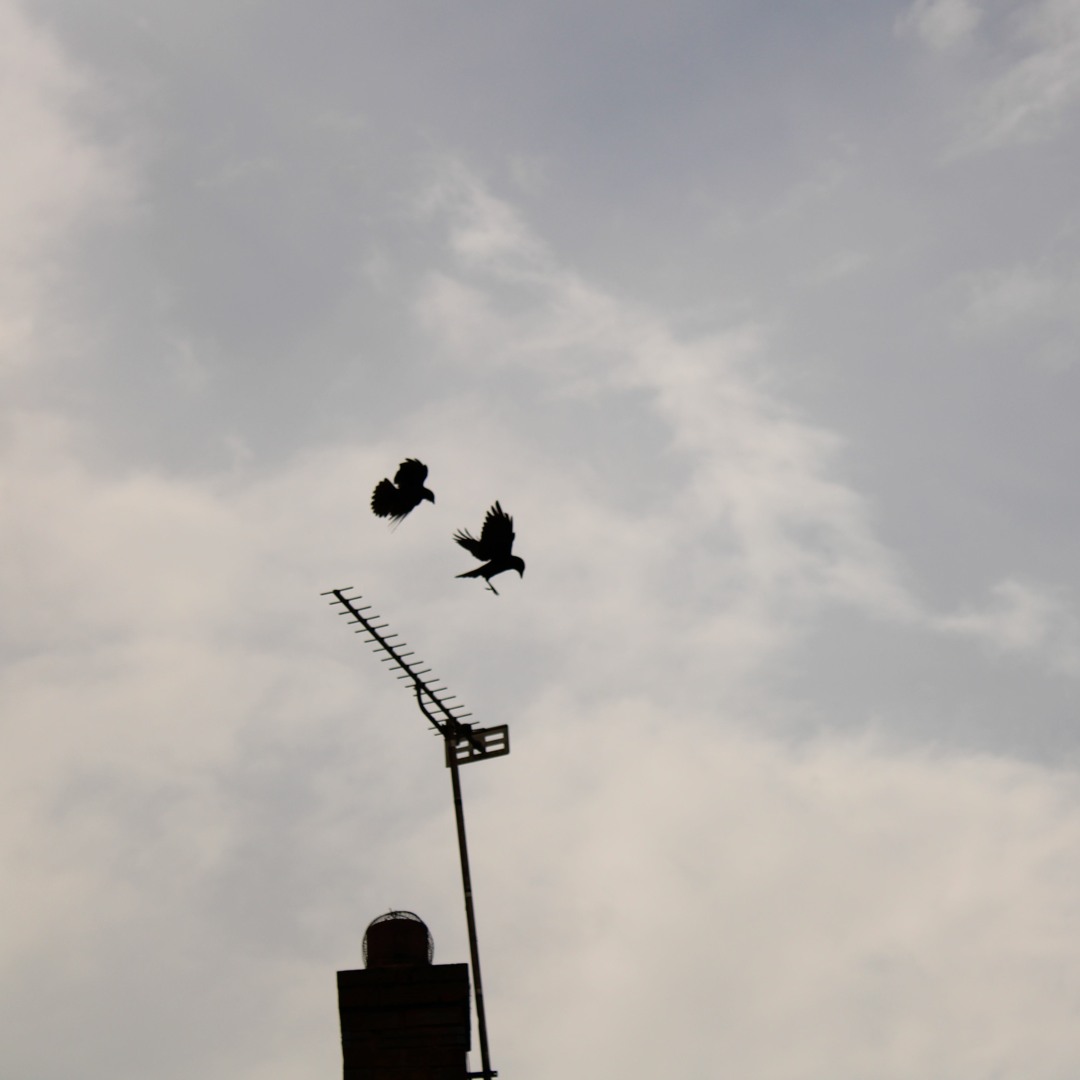 Stream new JKLG VOICE RECORD by jklgdesing blingazzle | Listen online ...