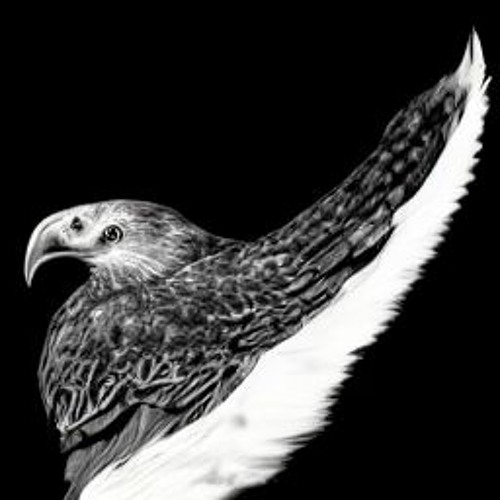 Stream Wavebird by PatientPartner | Listen online for free on SoundCloud