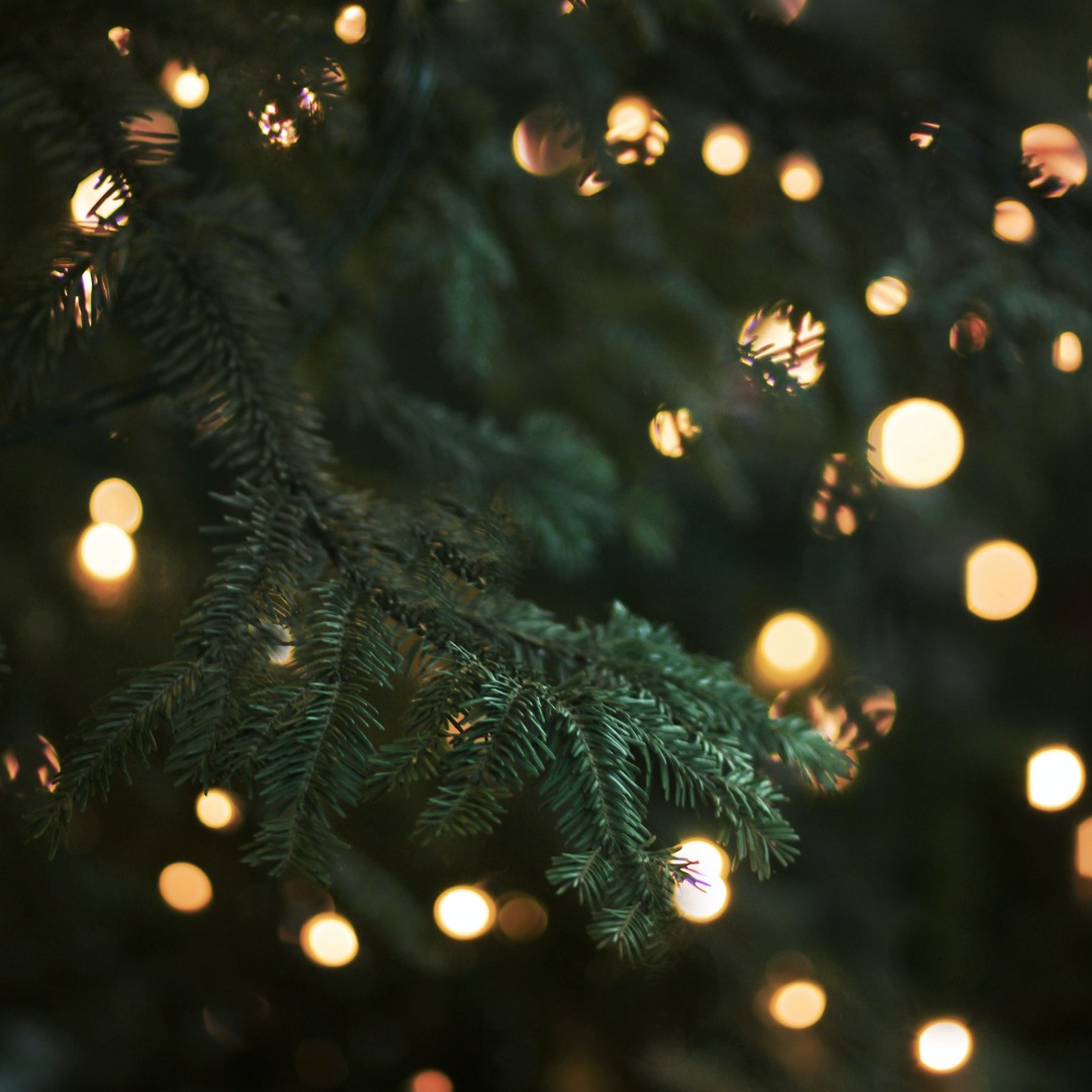 Stream notRegullar - New Year Progressive Mix 2022 by notRegullar ...