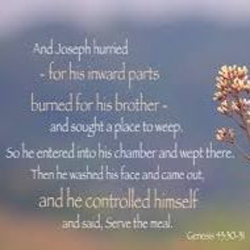 Stream Genesis Chapter 43 Bible Study by Shepherdsfor Jesus | Listen ...