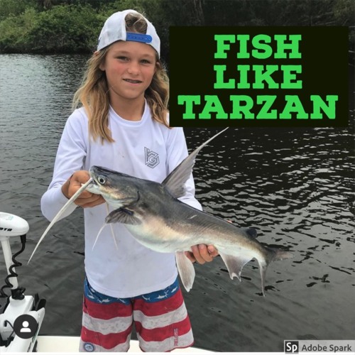 Stream Fish Like Tarzan by Fly Navarro | Listen online for free on ...