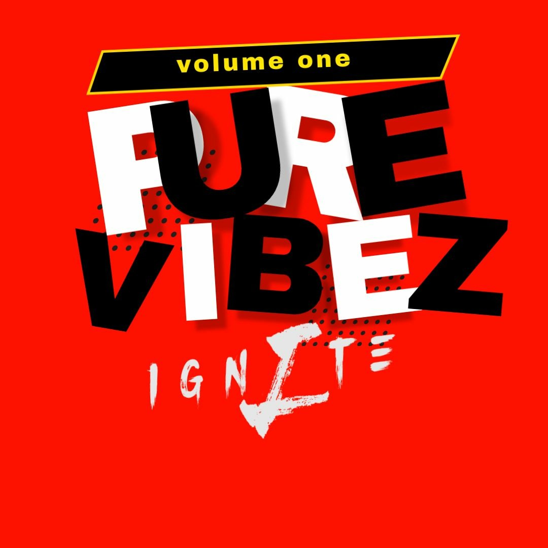 Stream Pure VibEz Vol. 1 by DJ iGnite | Listen online for free on ...