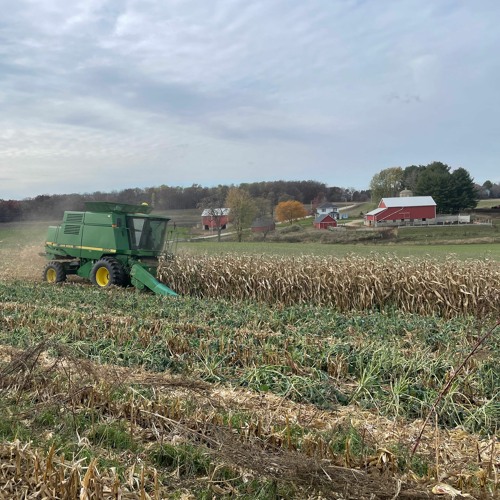 Stream episode Episode 15: Grazing Cover Crops Interseeded into 60" Row ...