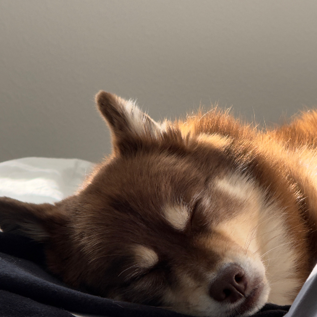 Stream Kiki Wera - Pool [Eminara REMIX] by NotPoor | Listen online for ...