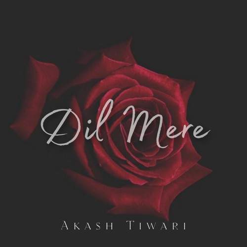 Stream Dil Mere by Akash Tiwari | Listen online for free on SoundCloud