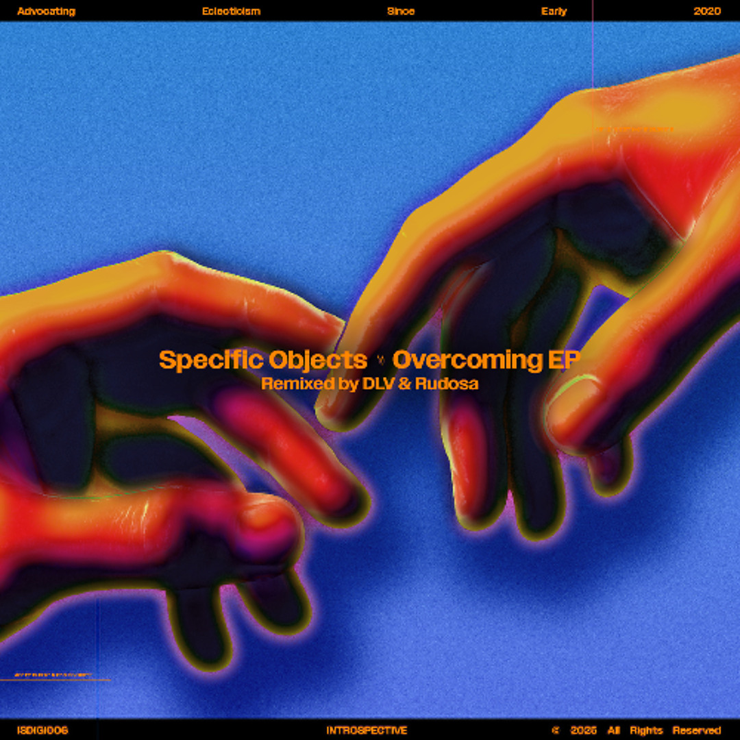 Stream Premiere: Specific Objects - No Hard Feelings [ISDIGI006] by RAW ...