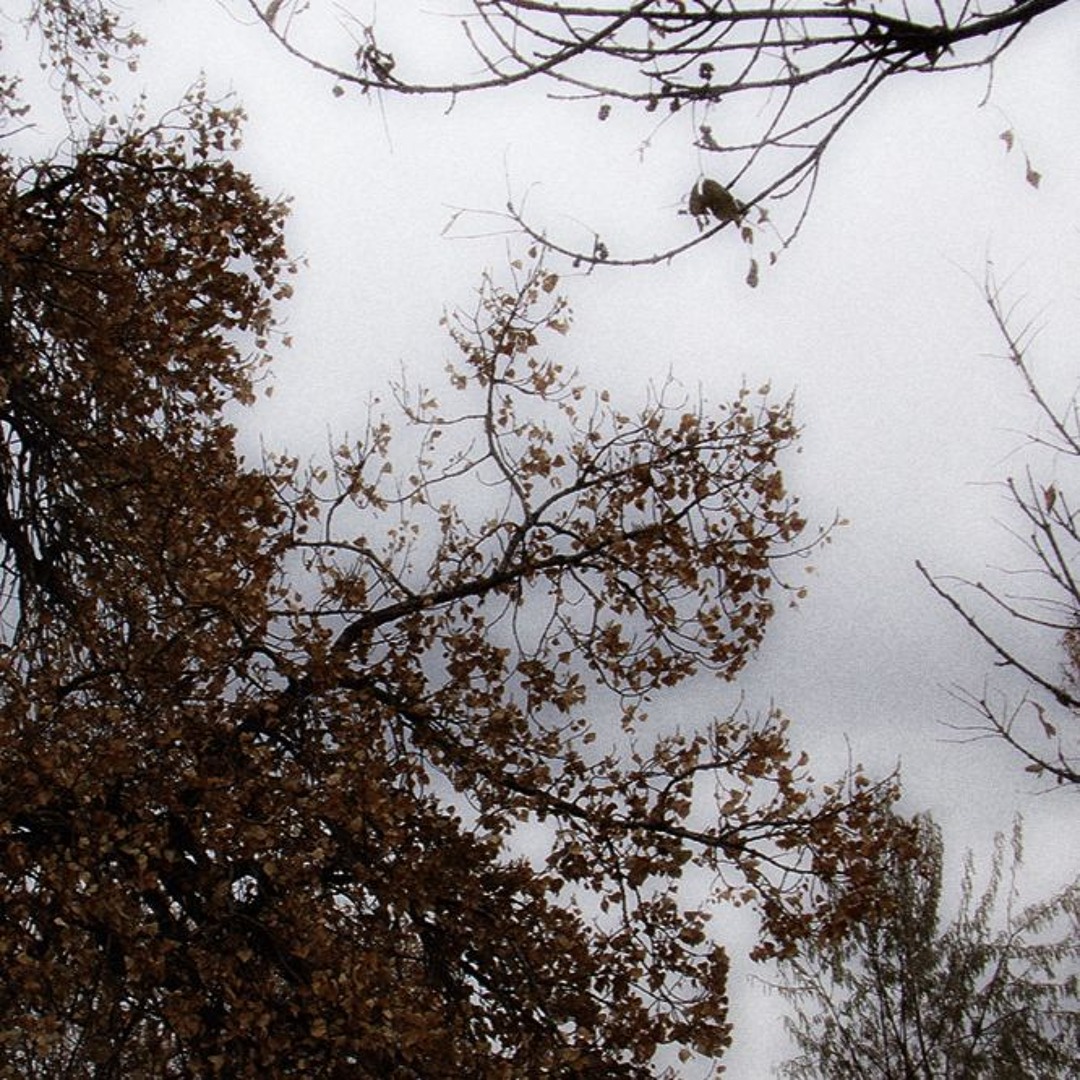 Stream reaptokyo - tears of by reaptokyo archive★彡 | Listen online for ...