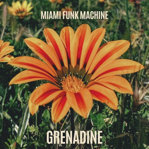 Stream Grenadine by Miami Funk Machine | Listen online for free on ...