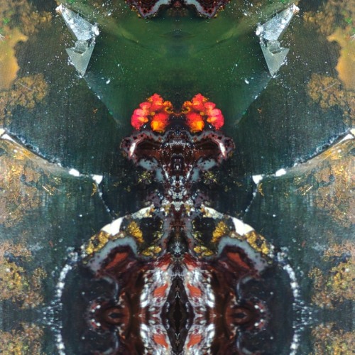 Stream episode FireBonsaii by Medru podcast | Listen online for free on ...