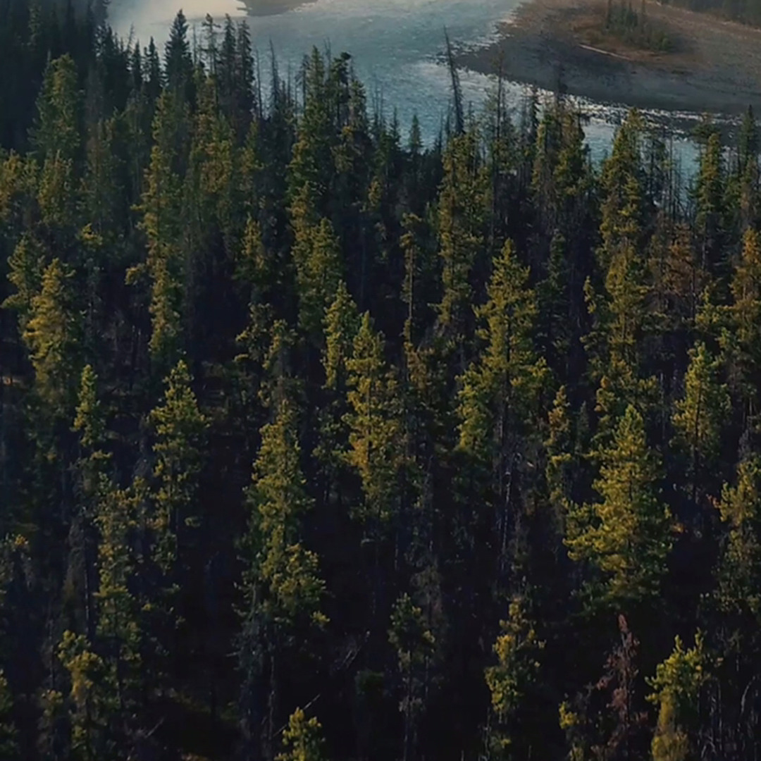 Stream Oh simple things where have you gone by DARK BOY | Listen online ...