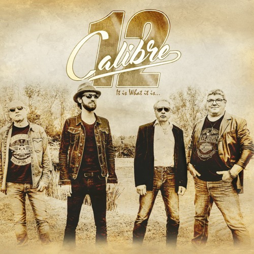 Stream 10 - IT IS WHAT IT IS by Calibre 12 Band | Listen online for ...