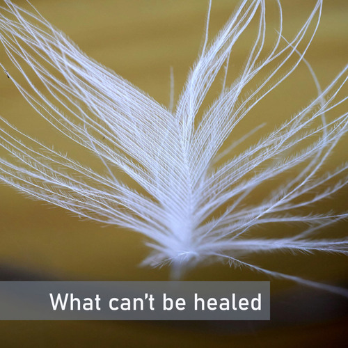 Stream What can’t be healed by Victoria Seng | Listen online for free ...