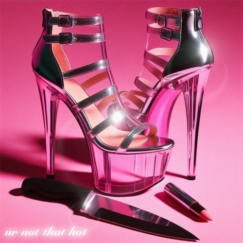 Stream Brooke Hogan - Ur Not That Hot (Heidi Montag Diss) by 2000sFiles ...