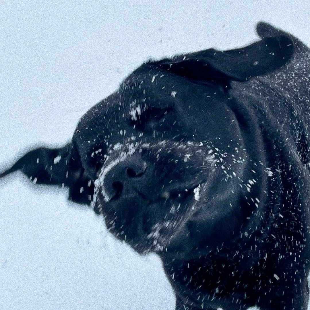 Stream 222 (instrumental) by tommy scafidi | Listen online for free on ...