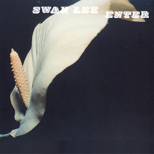 Stream Go On by Swan Lee | Listen online for free on SoundCloud
