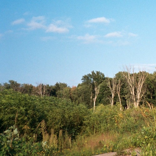 Stream 𝔹𝕖𝕝𝕝 𝔹𝕦𝕕𝕕𝕪 by Jameson Hunt | Listen online for free on SoundCloud