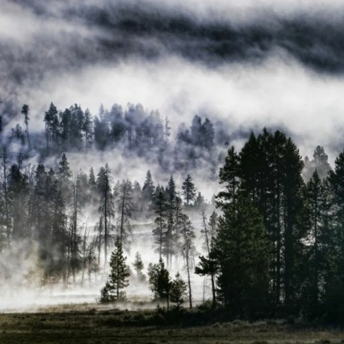 Stream Annada Mwona your background (FREE DOWNLOAD) by 15-8-2020 ...