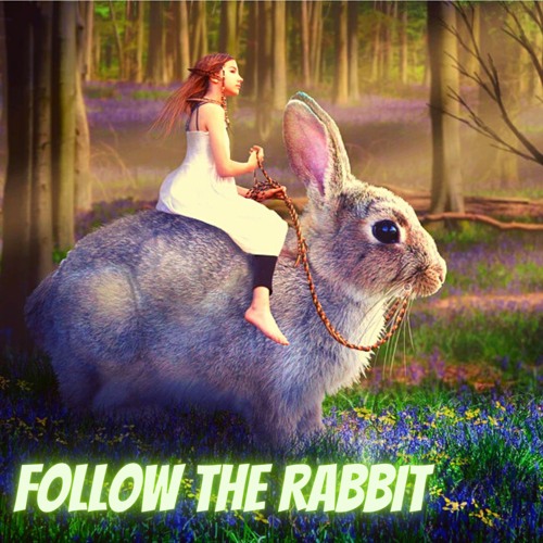Stream Follow the Rabbit - Ecstatic Dance Trip by Skaay's Music Lab ...