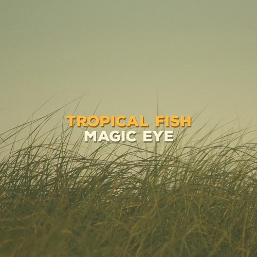 Stream Magic Eye by Tropical Fish | Listen online for free on SoundCloud