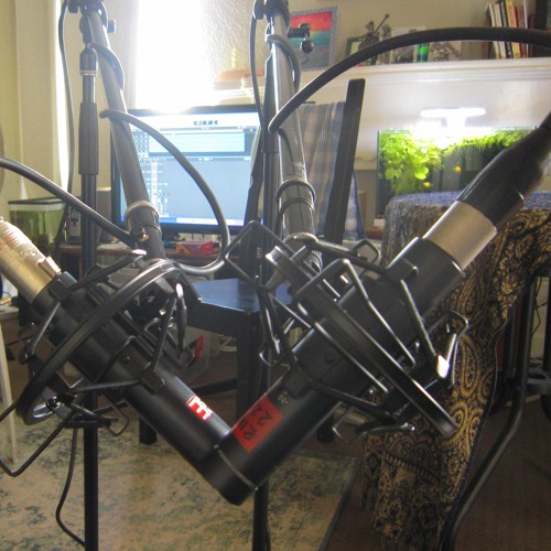 Stream Yamaha 12 String Mic Test SE8 mics Sunday 25Sep22 by rikvee ...