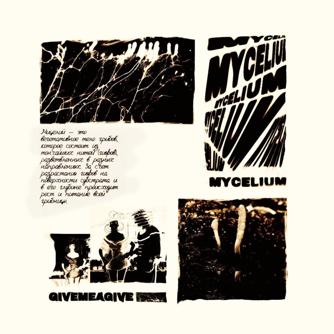 Stream 1stepup - on bro (givemeagive + perc40) by Givemeagive | Listen ...