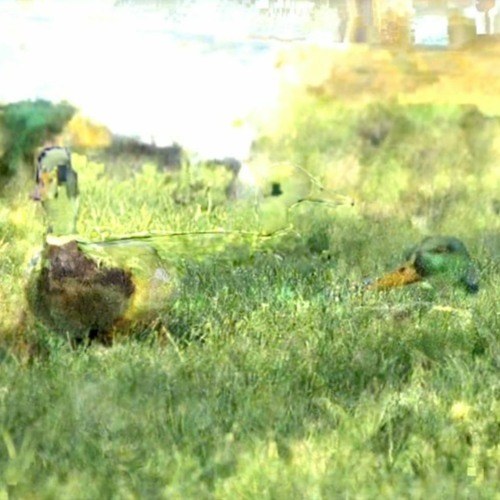 Stream the_yoink_43 | Listen to The Gloop & The Yoinky playlist online ...