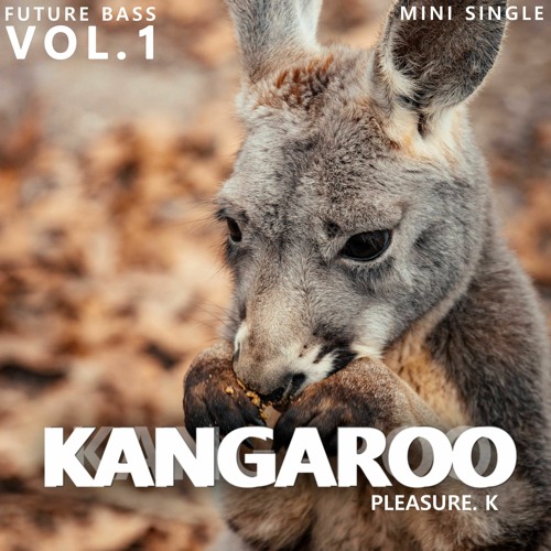 Stream Kangaroo by PLAKK | Listen online for free on SoundCloud