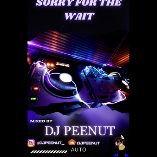 Stream Sorry For The Wait by DJ PeeNut | Listen online for free on ...