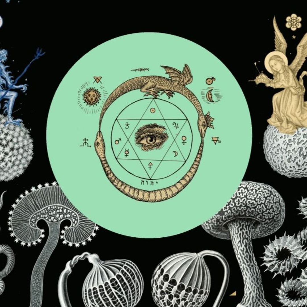 Stream funky dope maneuver by MEFE | Listen online for free on SoundCloud