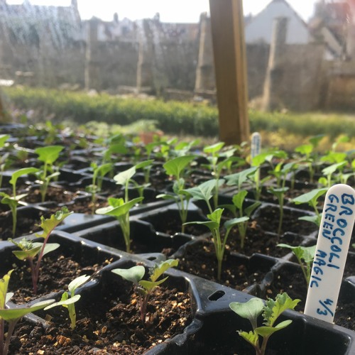 Stream Andy Nesbitt by 105.9 Bishop FM | Listen online for free on ...