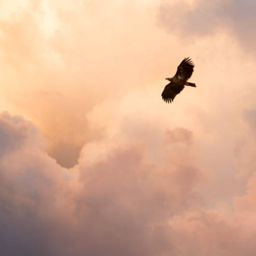 Stream Soaring Theme by MattJack | Listen online for free on SoundCloud