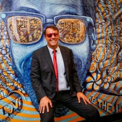 Stream Tim Draper | Listen to The Riskmaster and More playlist online ...