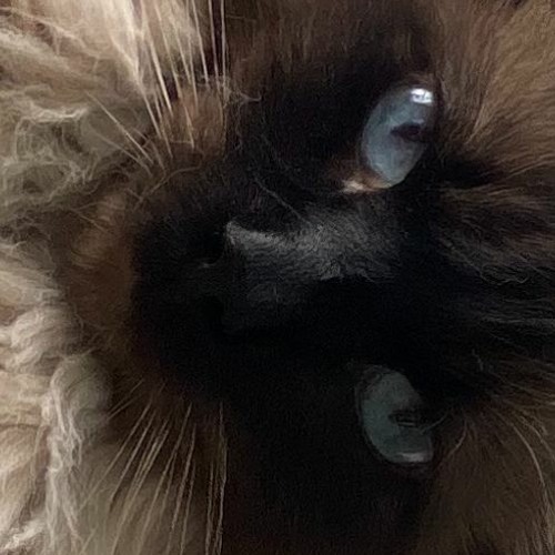 Stream Audio essay by nathan_raczynski | Listen online for free on ...