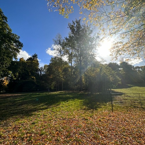 Stream 1. Limewood pathway by Emma Gurney Coombs | Listen online for ...