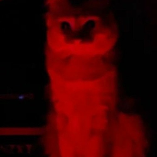 Stream demon cat bossfight by gunner cat | Listen online for free on ...