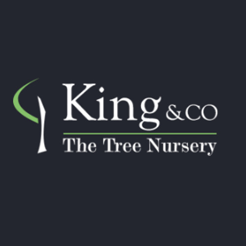 Stream Ken Crowther talks trees with Paul King from King and Co the ...
