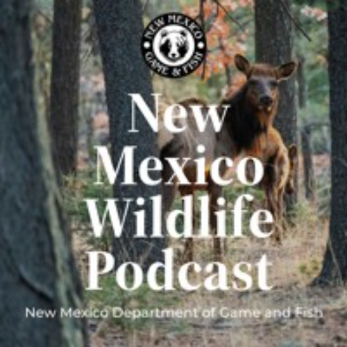 Stream episode New Mexico Wildlife Podcast Trailer by New Mexico Wildlife Podcast podcast ...