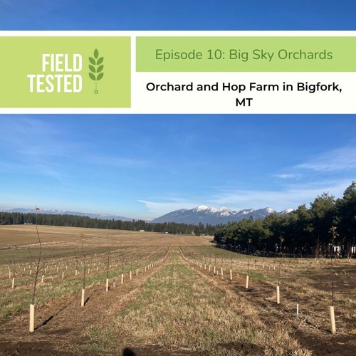 Stream episode Episode 10: Big Sky Orchards and Hop Farm by Community ...