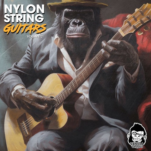 Stream Vanilla Groove Studios - Nylon String Guitars Vol 2 by ...
